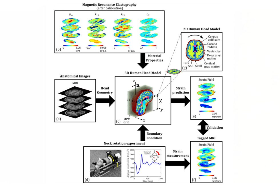 Inside the Mind’s Toughest Test: Studying Extreme Mechanics of the ...