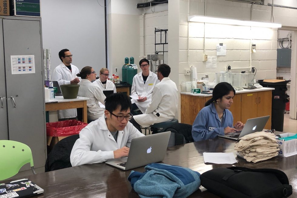 Senior Lab Gets a Makeover and Our First Lab Manager - Department of ...