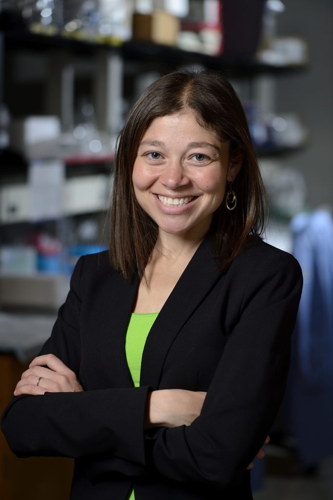 Jamie Spangler - Department of Chemical and Biomolecular Engineering