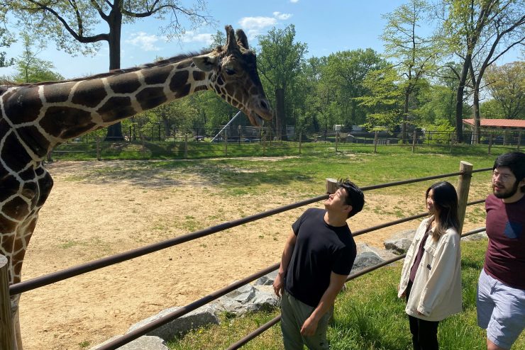 Chew on this: Design Day team aims high with giraffe project ...