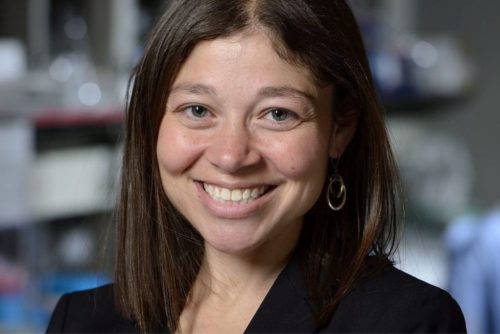 Jamie Spangler receives second Damon Runyon-Rachleff Innovation Award ...