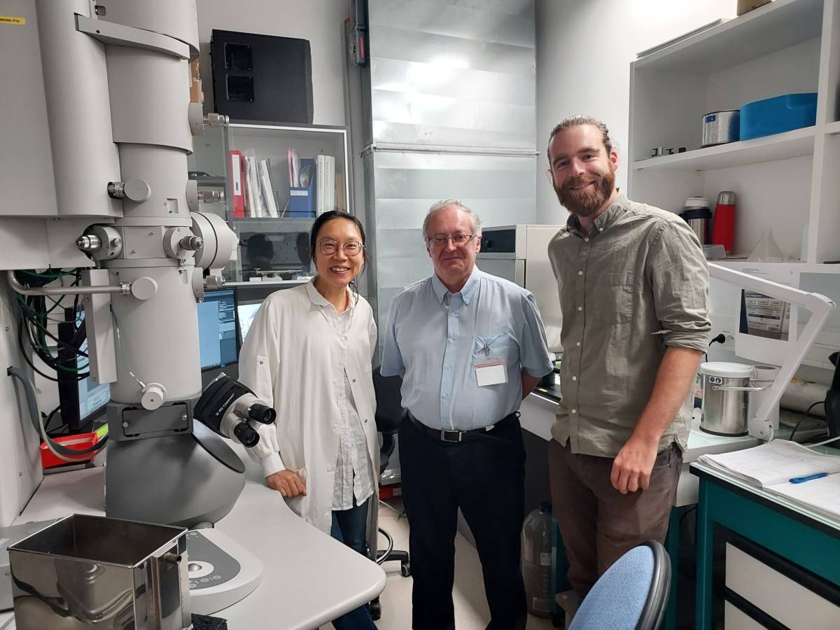 Highlights – Mitra Taheri Research Group