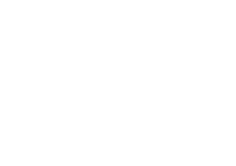 David Beaudry – Dynamic Characterization Group