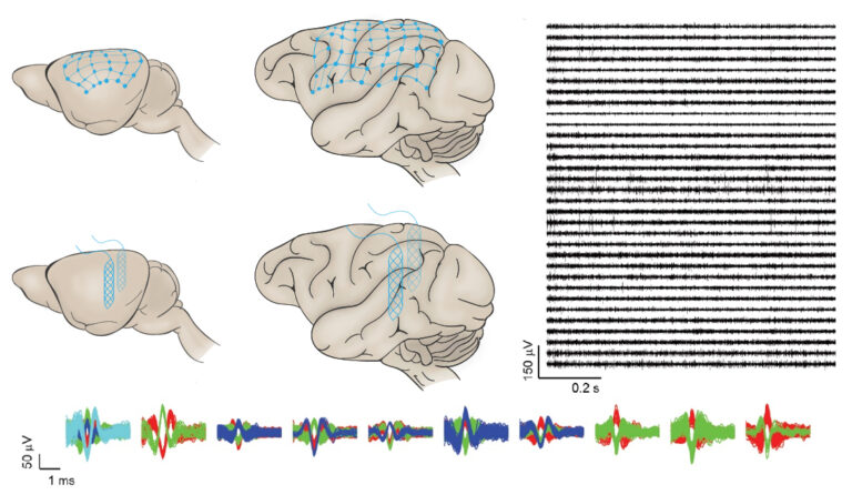 Research | Dingchang Lin Lab @JHU