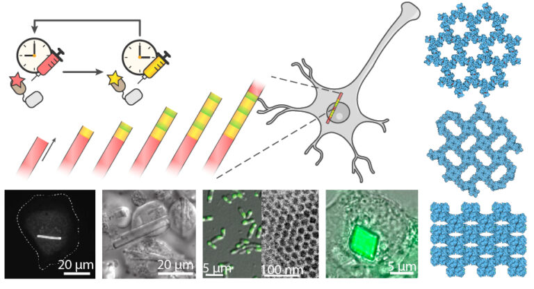 Research | Dingchang Lin Lab @JHU
