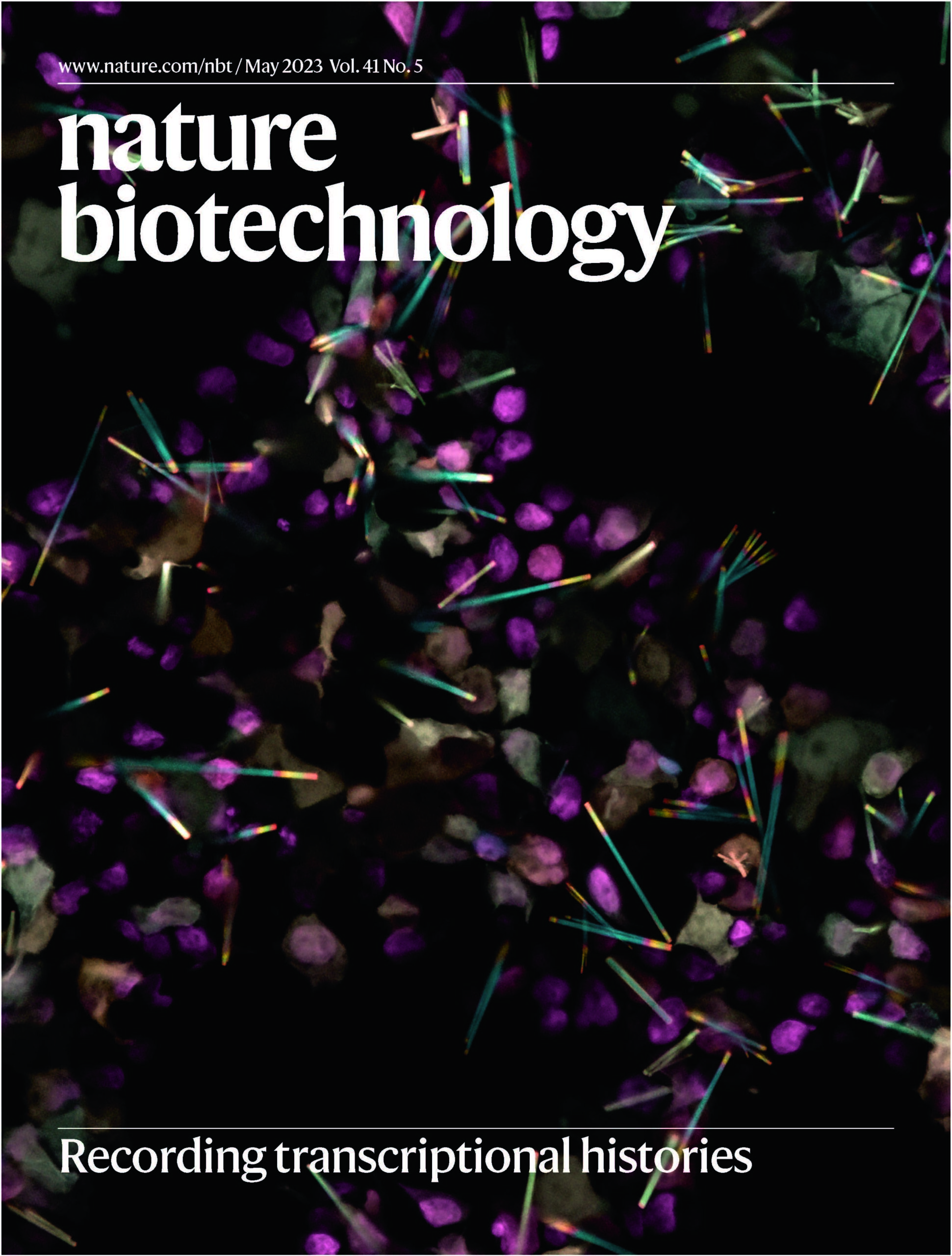 Publications | Dingchang Lin Lab @JHU