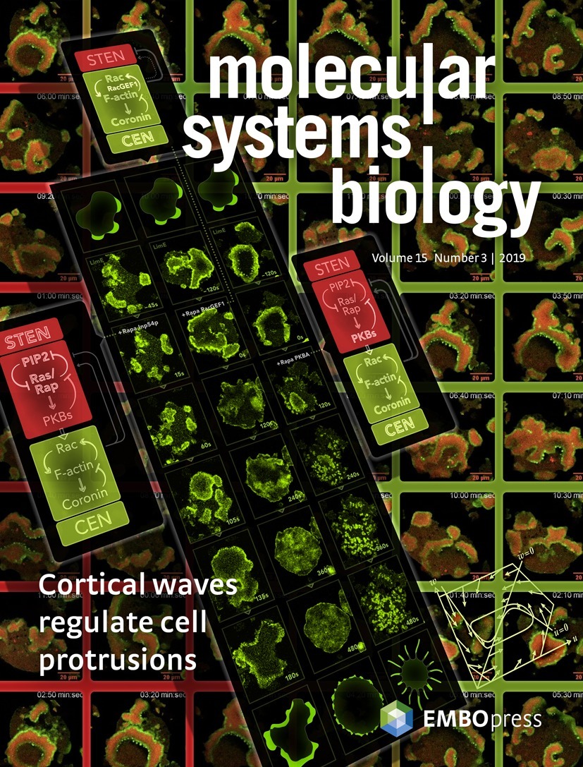 Article co-written by Pablo Iglesias and Sayak Bhattacharya featured on ...