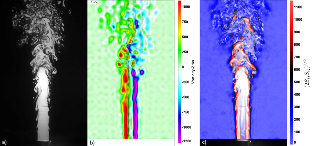 Large Scale Plume - Laboratory for Experimental Fluid Dynamics