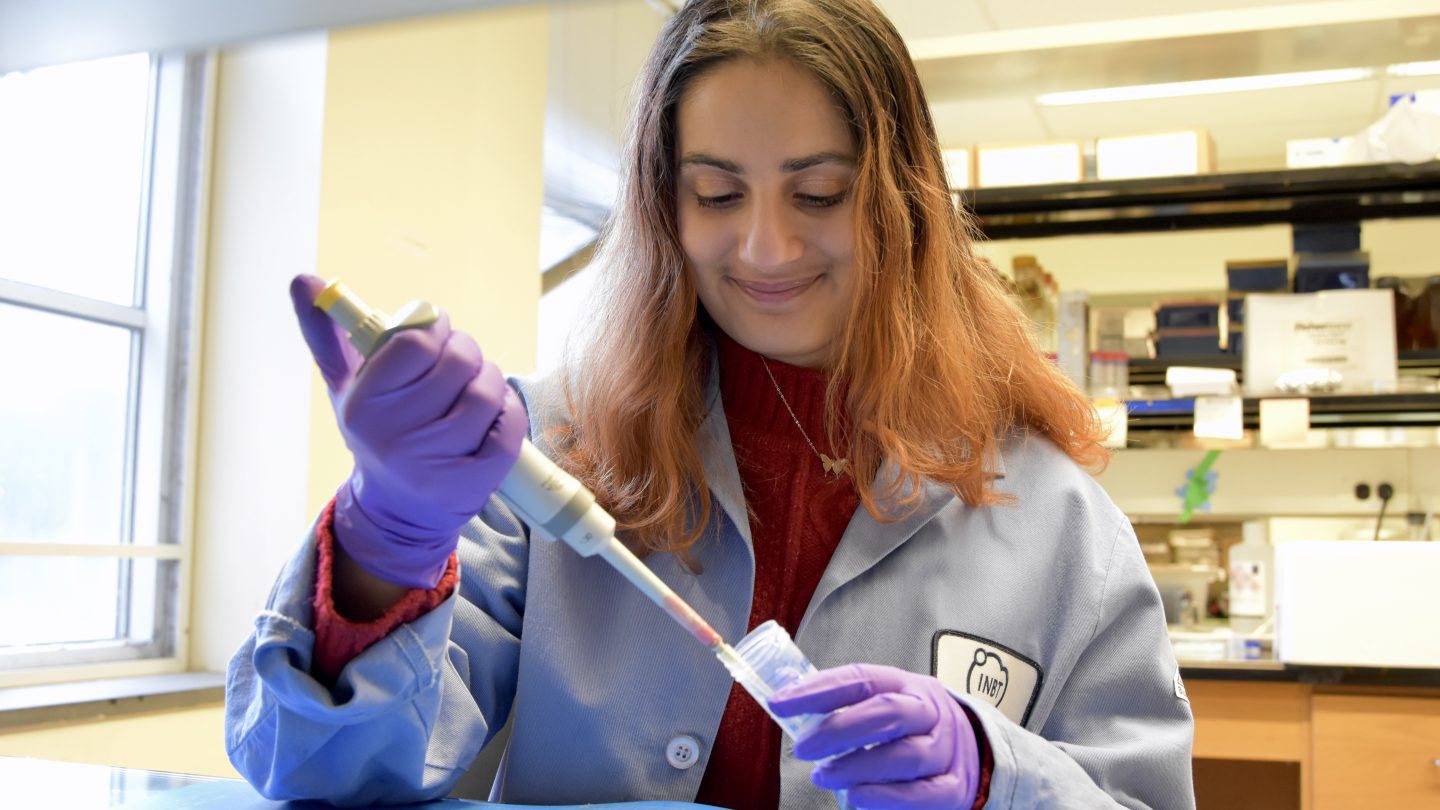 Graduate Programs - Department of Materials Science & Engineering