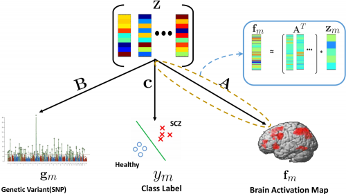 Welcome to the NSA Lab @ JHU - Neural Systems Analysis LaboratoryNeural ...