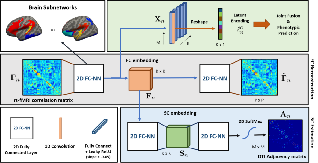 Welcome to the NSA Lab @ JHU - Neural Systems Analysis LaboratoryNeural ...