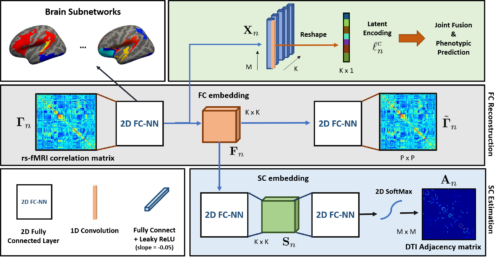 Welcome to the NSA Lab @ JHU - Neural Systems Analysis LaboratoryNeural ...