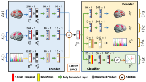 Imaging-Genetics - Neural Systems Analysis LaboratoryNeural Systems ...