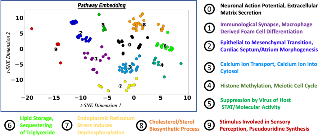 Welcome to the NSA Lab @ JHU - Neural Systems Analysis LaboratoryNeural ...