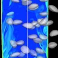 Computational Multiphase Flow Group