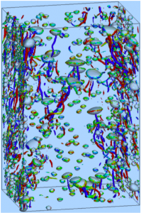 Bubbly Flows – Computational Multiphase Flow Group