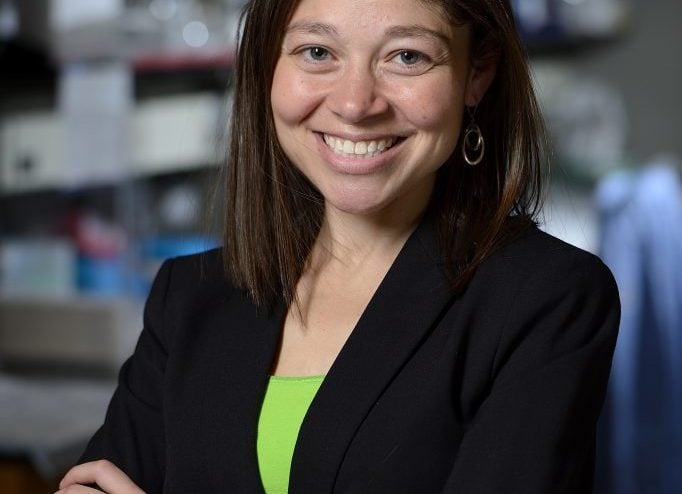 Jamie Spangler receives NSF CAREER Award - Johns Hopkins Whiting School ...