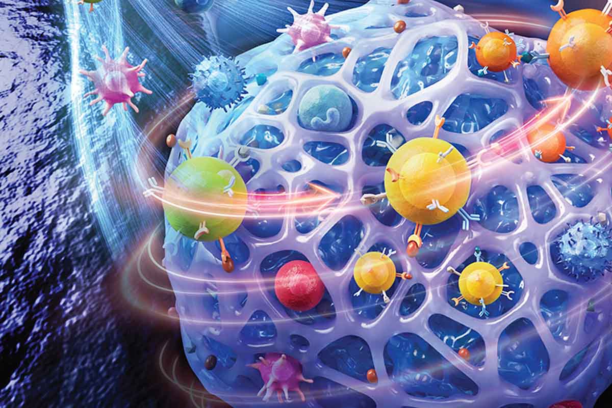 ‘Artificial Lymph Node’ Used to Treat Cancer in Mice - Johns Hopkins ...
