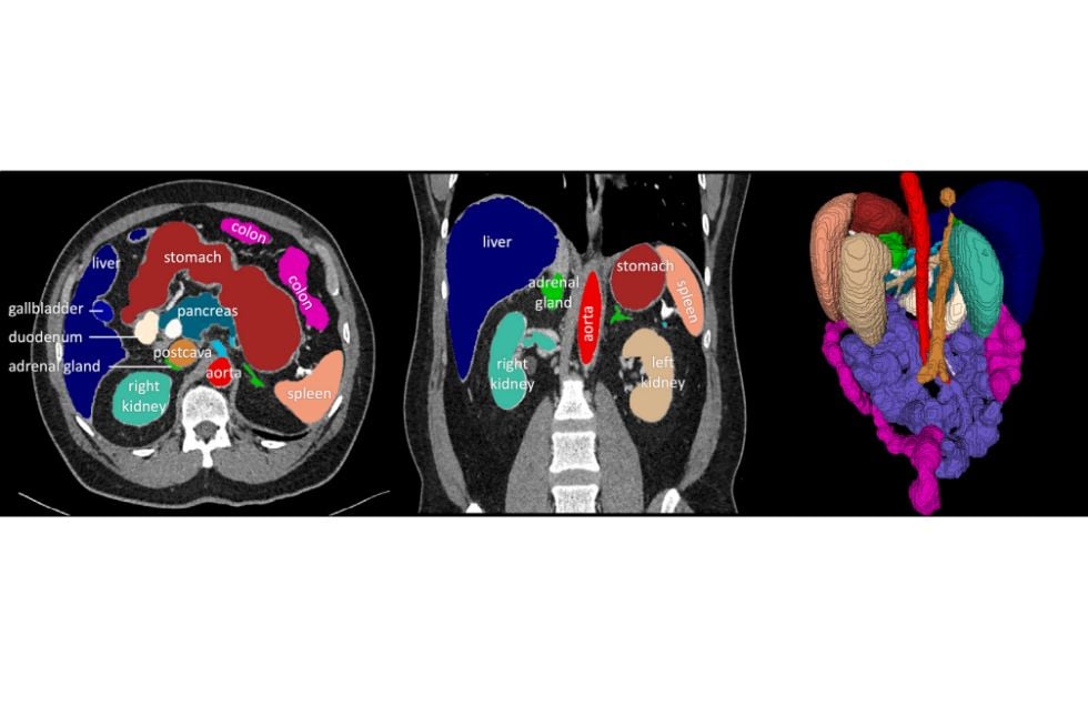 Alan Yuille - Johns Hopkins Whiting School of Engineering