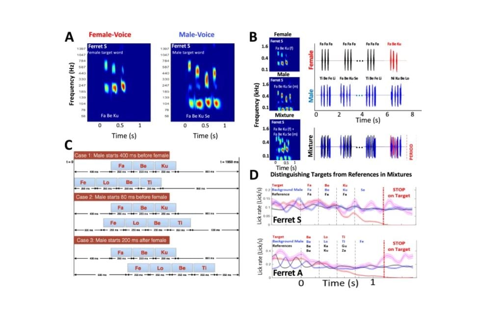 Next-Gen Sound Technology is Protecting Lives and Transforming ...